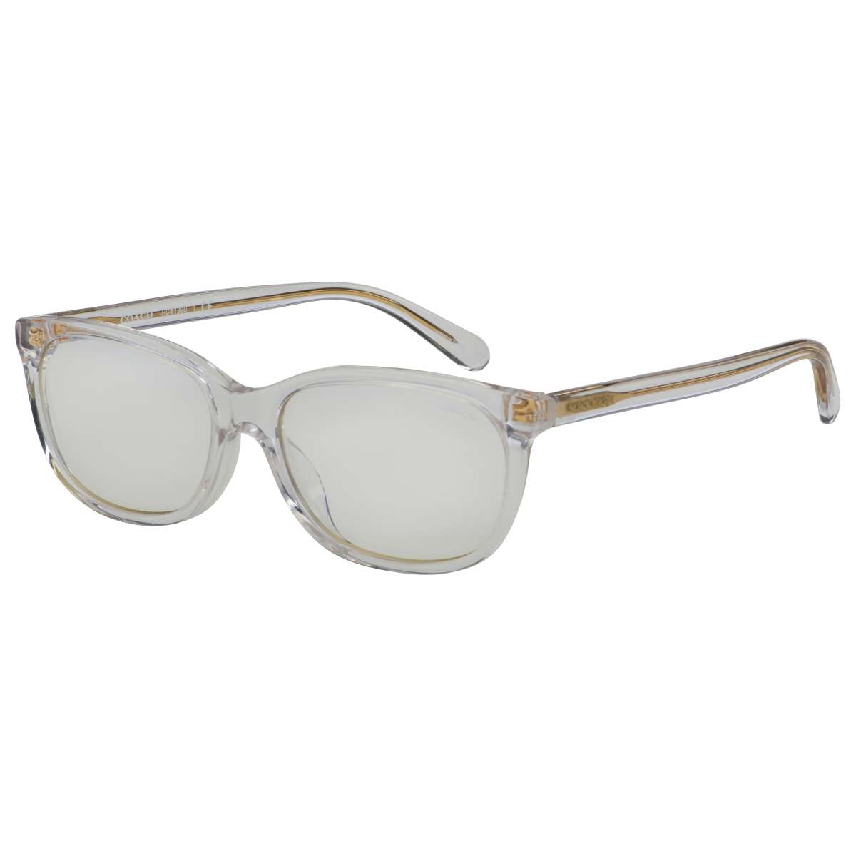 Buy Coach Fashion unisex Sunglasses HC6139U-5111SB-53 - Ashford.com