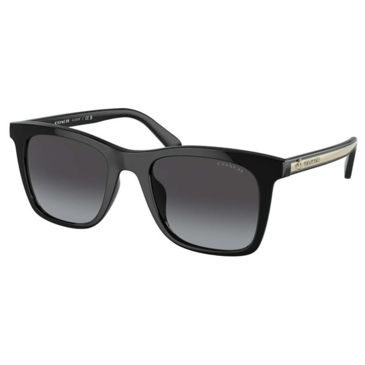 Buy Coach Fashion women's Sunglasses HC8374F-50028G-54 - Ashford.com
